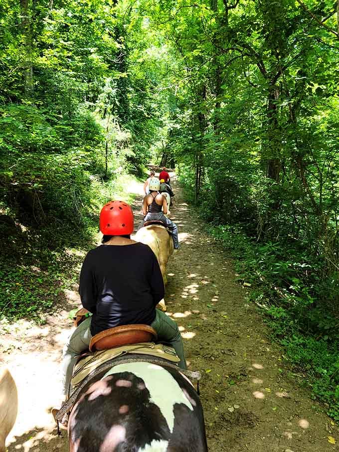 Winding through shaded forest paths on horseback feels like traveling back to simpler times, refreshingly unplugged.