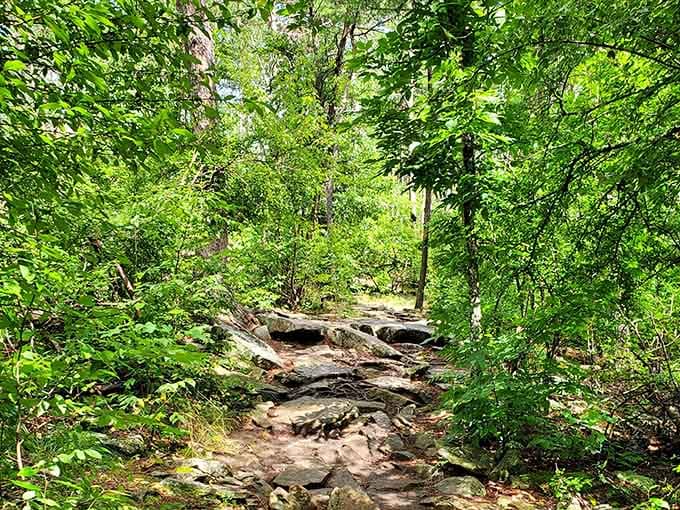 The nature trail winds through greenery so lush you'll forget you're still in Alabama and not some tropical paradise.