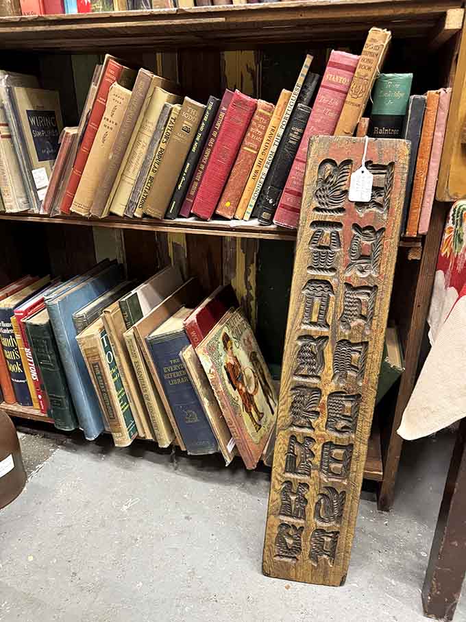 Old books lean together like old friends sharing secrets, their worn spines promising stories from decades past worth rediscovering.