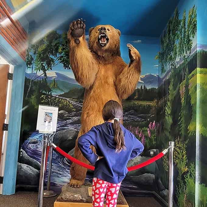Face to face with taxidermy teaches respect for wildlife while safely satisfying every kid's fascination with bears.