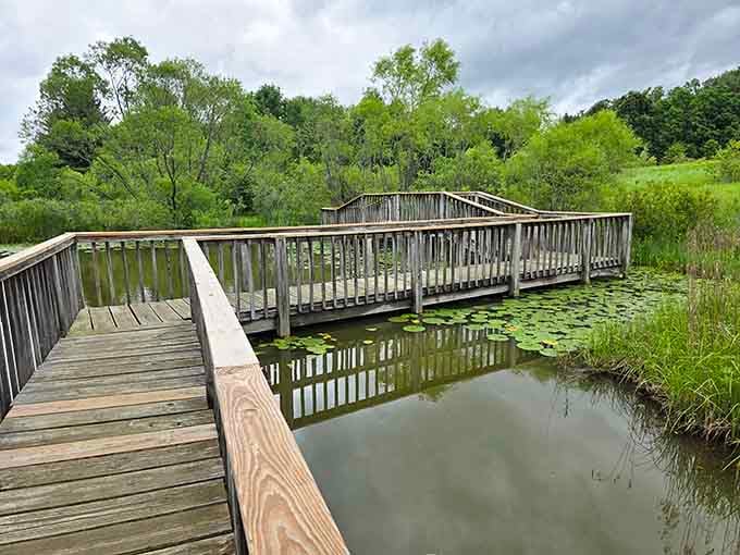 Gorman Nature Center's boardwalk winds through wetlands where nature does its thing without charging admission fees.