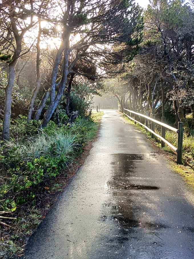Tree-lined paths where morning walks feel less like exercise and more like moving meditation with better scenery.
