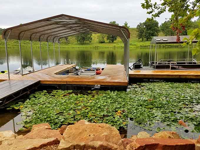Lily pads and a private dock make this swimming spot look like a secret fishing hole.