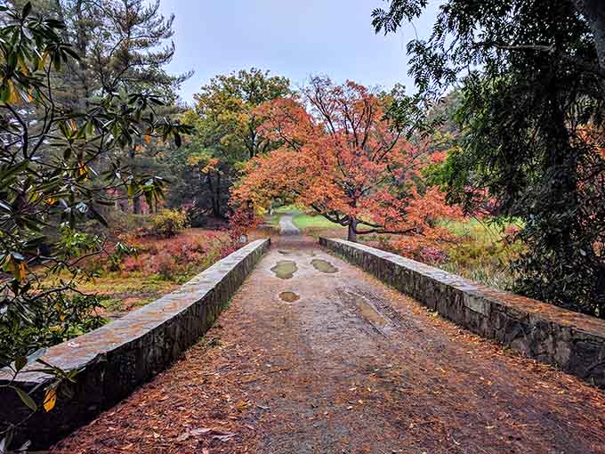 Autumn at Maudslay turns the formal gardens into a tapestry of reds and golds that rivals any New England destination.