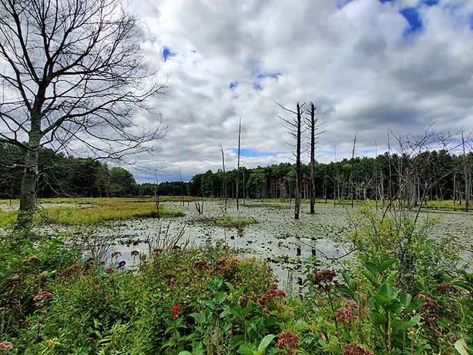 The Assabet River Wildlife Refuge offers wetland views that remind you nature's still running the show around here.