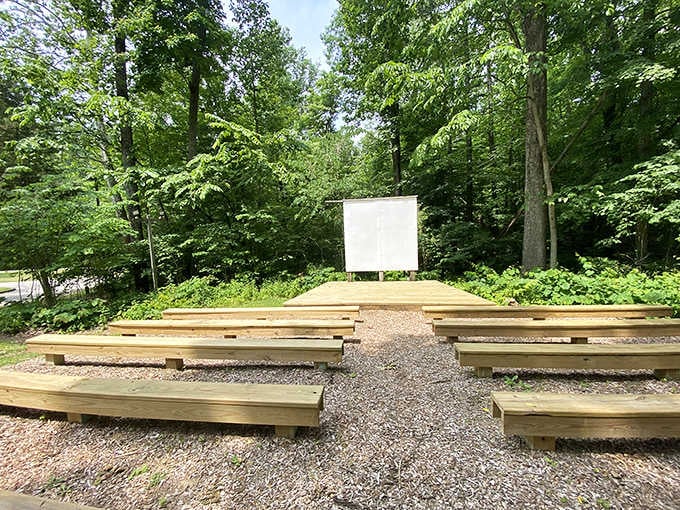 This outdoor amphitheater proves the best entertainment doesn't need walls, just woods and willing audiences.