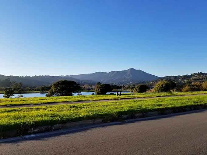 Green meadows meeting calm waters with Mount Tam standing guard, nature's version of the perfect retirement plan.