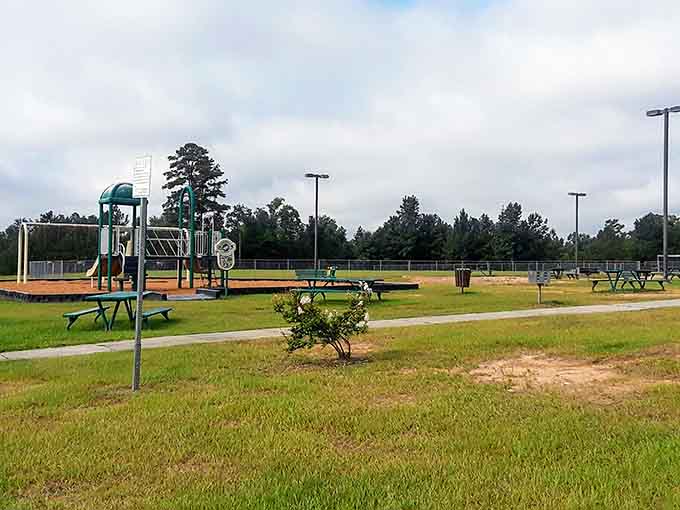 Parks with playgrounds and picnic areas give families space to enjoy sunshine without requiring a second mortgage.