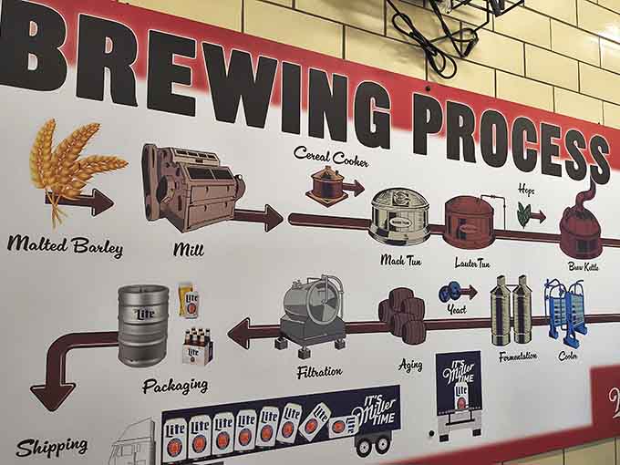 From barley to bottle, this cheerful diagram makes brewing science look almost as simple as toast.