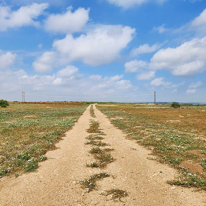 Dirt paths wind through the site where Air Force personnel once walked with the weight of civilization.