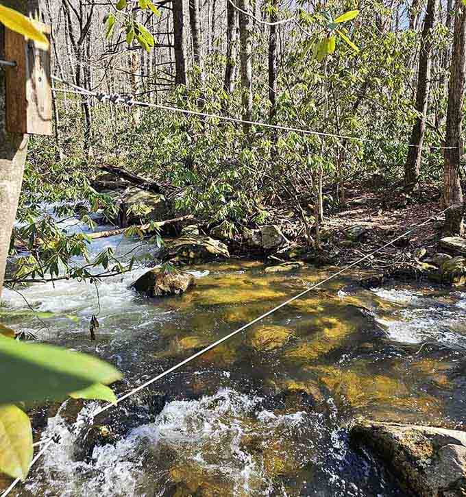 Wire cables guide you safely across streams, proving that sometimes nature needs a little human assistance.