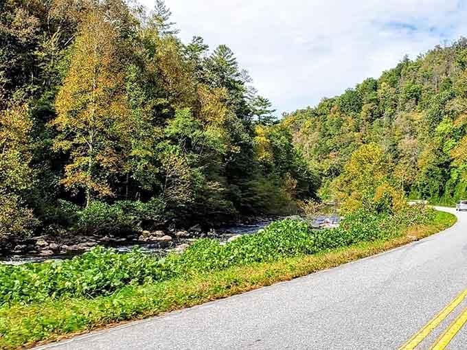 Autumn paints the roadside in colors that would make any artist throw down their brushes in defeat.
