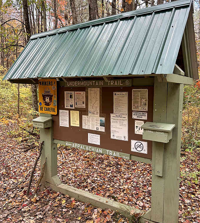 Information boards offer crucial details, though they can't quite capture the magic waiting up ahead.