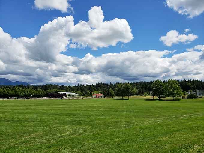 Open green spaces under big skies remind you why people wrote songs about spacious skies.