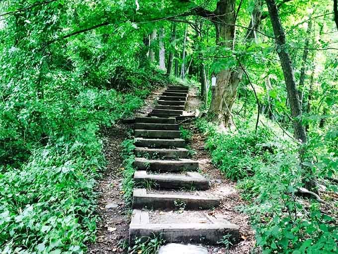 Wooden steps built into the hillside, nature's StairMaster without the monthly gym membership or fluorescent lighting overhead.