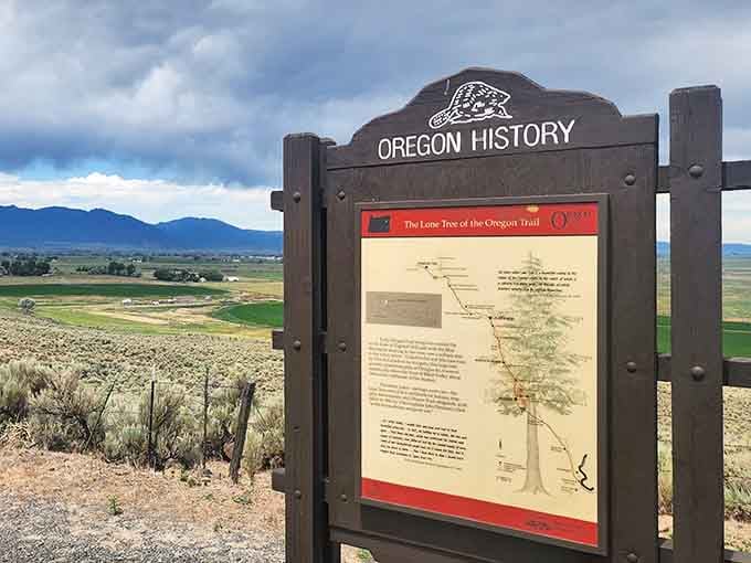 Interpretive signs explain the trail's history while you stand where actual wagon wheels carved permanent grooves into earth.