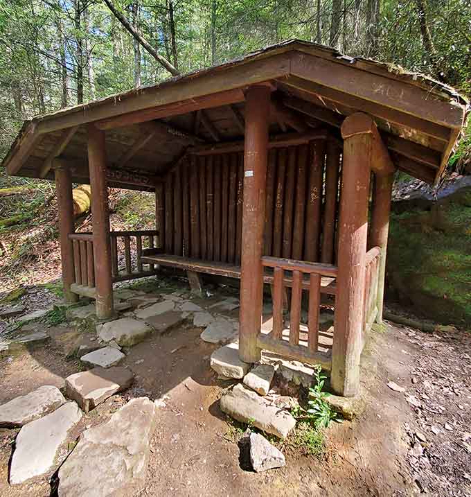 Trail shelters dot the landscape, providing welcome respite for hikers who need a breather and maybe a snack break.