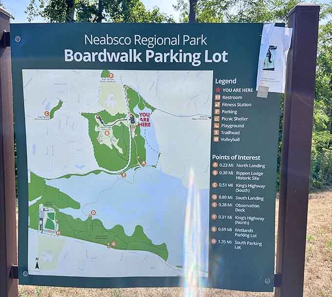 The park map reveals just how much territory you're exploring, with wetlands stretching farther than expected.