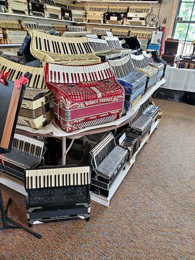 Stacked like musical layer cake, these accordions from Paris to points unknown represent a global celebration of squeeze-box culture.