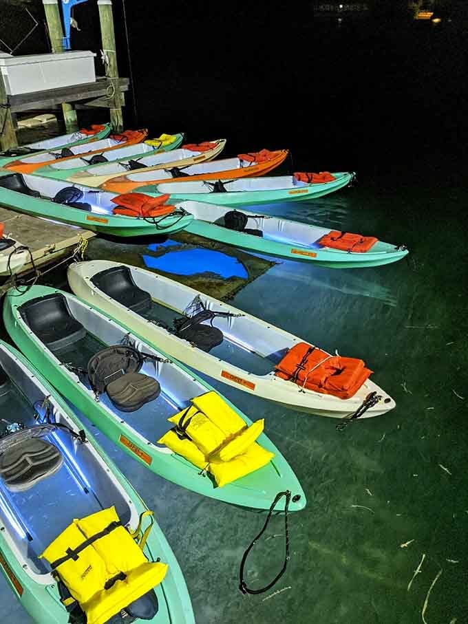 The fleet awaits at the dock, ready to transform ordinary tourists into glowing explorers of the night.