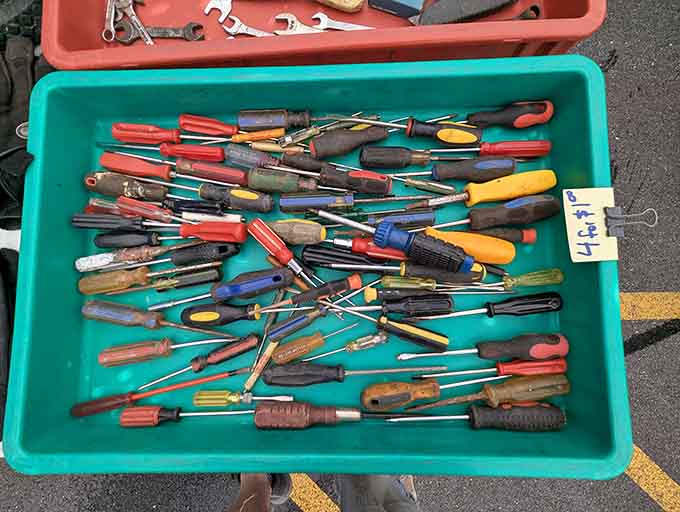 Screwdrivers in every color imaginable, because apparently tools can be fashionable and functional at the same time.
