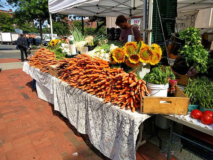 Farmers market bounty that connects you directly to local growers without the grocery store markup nonsense.