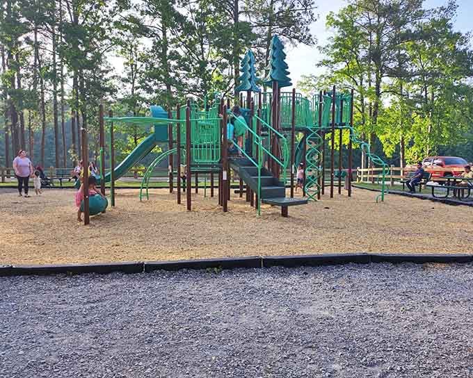 The playground equipment gives kids a place to burn energy while parents contemplate the genius of outdoor entertainment.