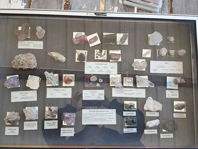 The educational display showcases what you might find, turning every visitor into an amateur gemologist before lunch.