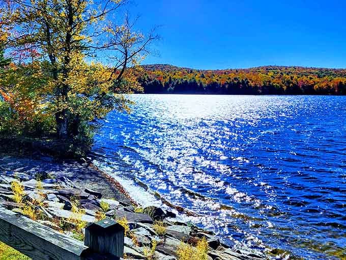 Sparkling water and autumn colors combining forces to create postcard-worthy views you can actually visit.