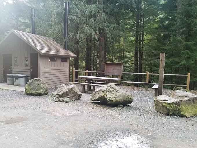 Even the facilities here come with forest views, because Oregon doesn't do anything halfway or without style.