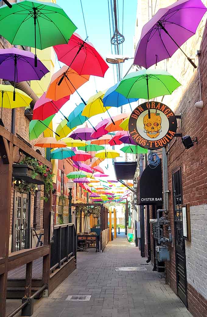 The tunnel effect draws you forward, promising more color and wonder with every step you take.