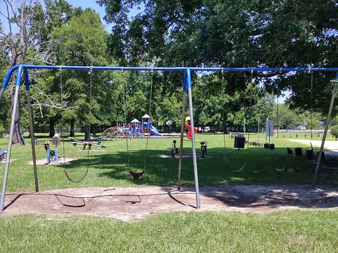 Local playgrounds offer free entertainment where kids can actually play outside instead of staring at screens.