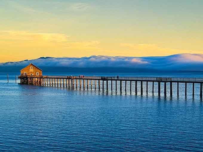 Garibaldi's historic pier stands sentinel over the bay, a reminder of the fishing heritage that built this town.