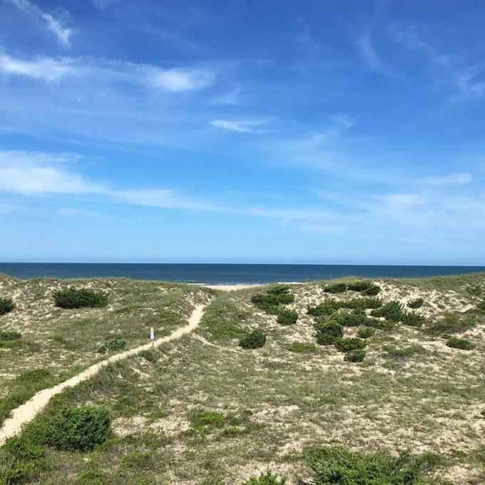 Wild coastal dunes stretch endlessly, proving nature doesn't need our help to create something absolutely breathtaking here.