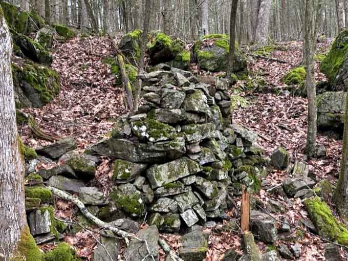 Stone cairns mark trails like nature's own breadcrumb system, built by hands that understood forests before GPS existed.
