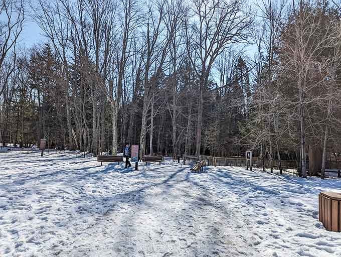 Winter transforms the park into a snowy retreat while the spring continues its eternal performance below.