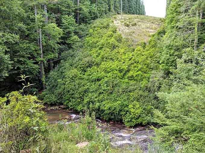 Creek views like this remind you why leaving the couch was absolutely worth it.