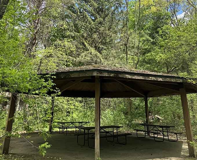 This covered picnic area offers the perfect spot to enjoy lunch while surrounded by Wisconsin's natural beauty.