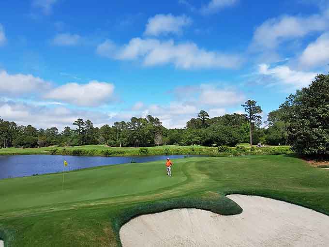 Caledonia Golf offers pristine greens where even a bad shot feels forgivable surrounded by this much natural beauty.