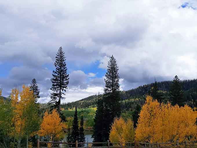 Fall colors that look like someone spilled an entire art supply store across the hillside in the best way.