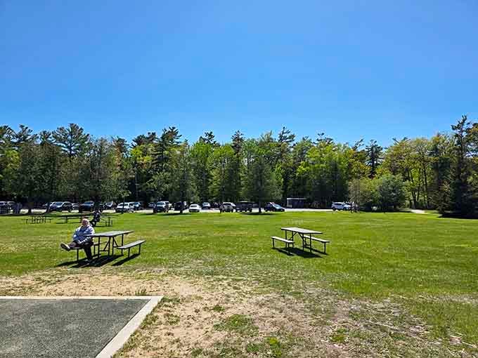 Picnic areas provide perfect spots for lunch breaks between birding sessions and trail explorations.