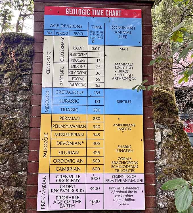 This geologic time chart puts humanity's brief existence into humbling perspective with colorful, easy-to-read sections.
