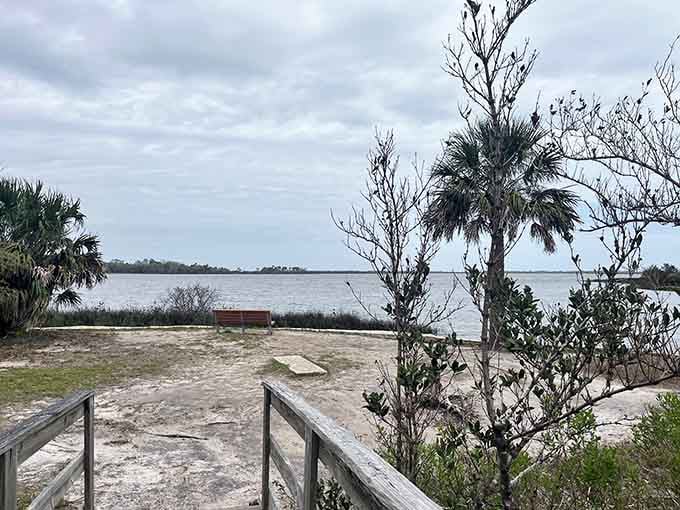 Waterfront vistas stretch endlessly, reminding you that Florida's beauty extends far beyond its famous sandy beaches and theme parks.