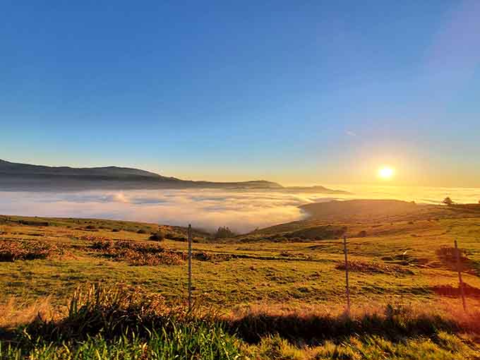 Morning fog rolls across the hills like nature's own special effects, creating an atmosphere worthy of any ghost story.