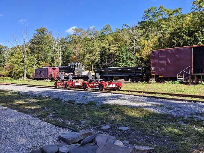 Morning shadows stretch across the historic rail yard where vintage locomotives watch over their bright red successors with quiet dignity.