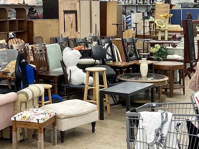 Furniture fills the space like a showroom designed by serendipity, where your dream living room costs less than dinner.