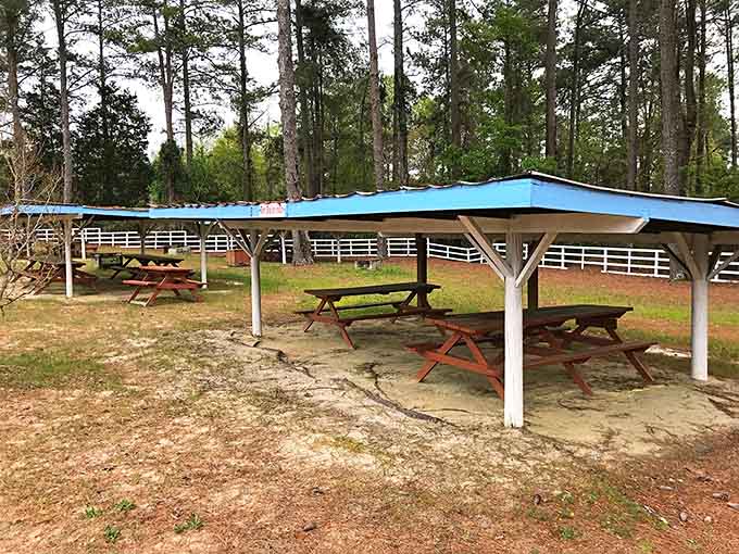 Covered picnic shelters providing shade and sanctuary, where you can refuel between rounds of aquatic shenanigans.
