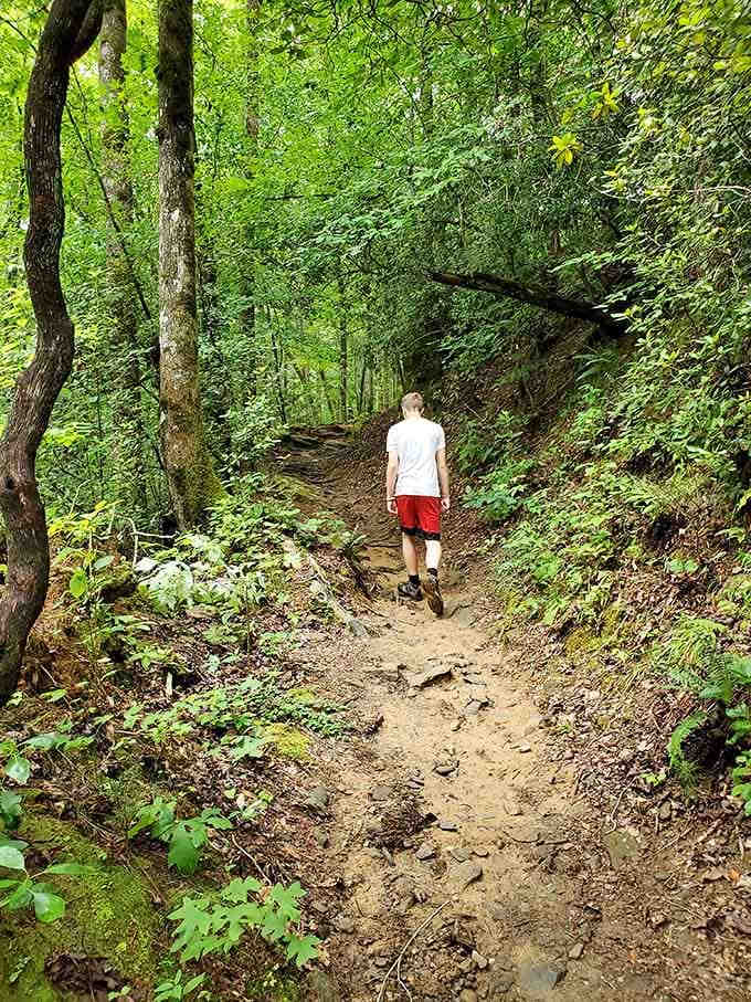 The descent might test your quads, but that waterfall waiting below makes every step worthwhile.