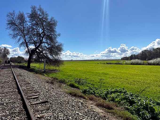 Spring meadows so green they look Photoshopped, but this is just regular California showing off again.