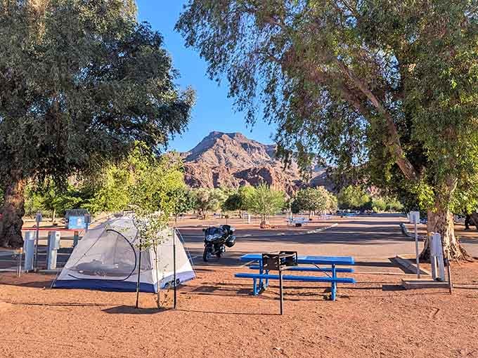 Camping spots with mountain views beat any hotel room, even the ones with those fancy pillow menus.